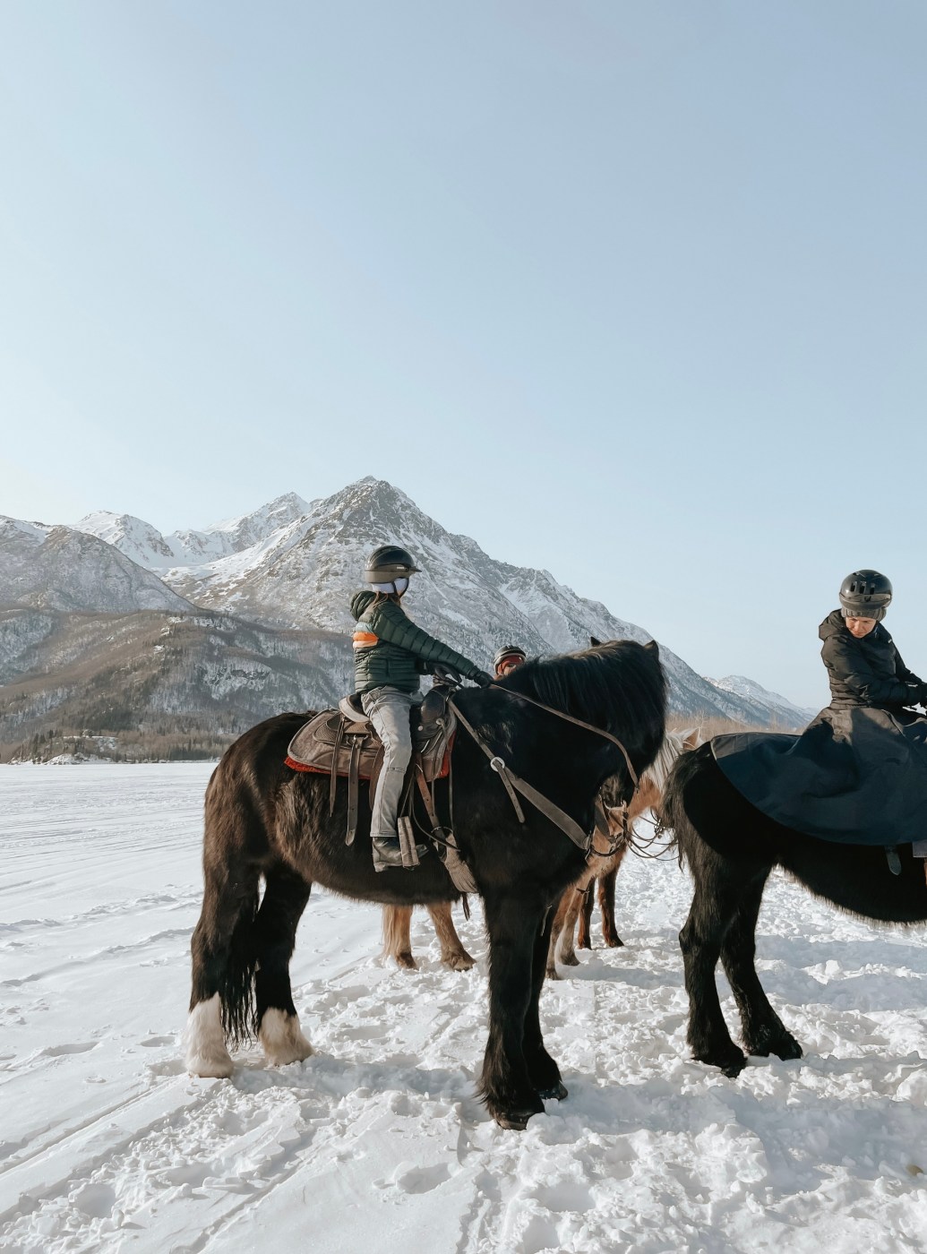 3 Hour Winter Trail Ride | Alaska Horse Adventures